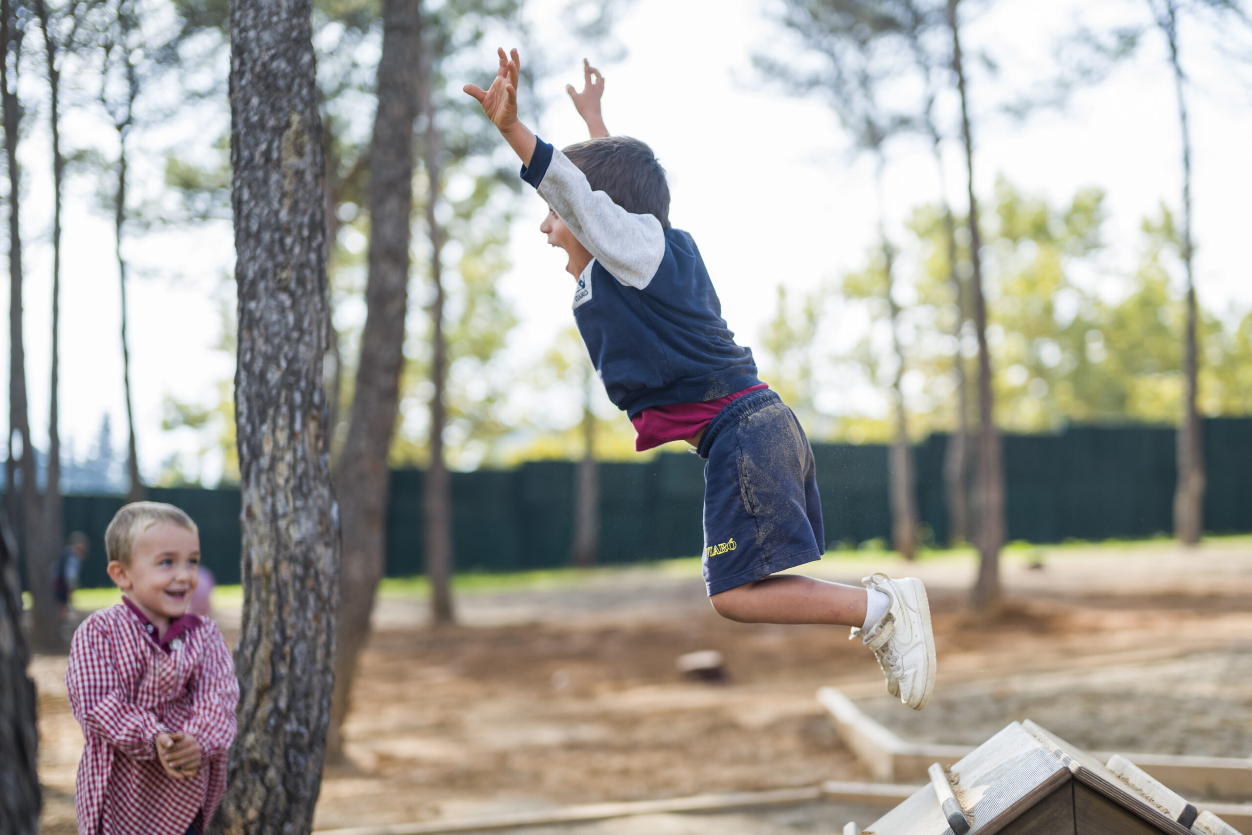 Educar en el asombro: el bosque de Viaró Infantil - Una finestra oberta