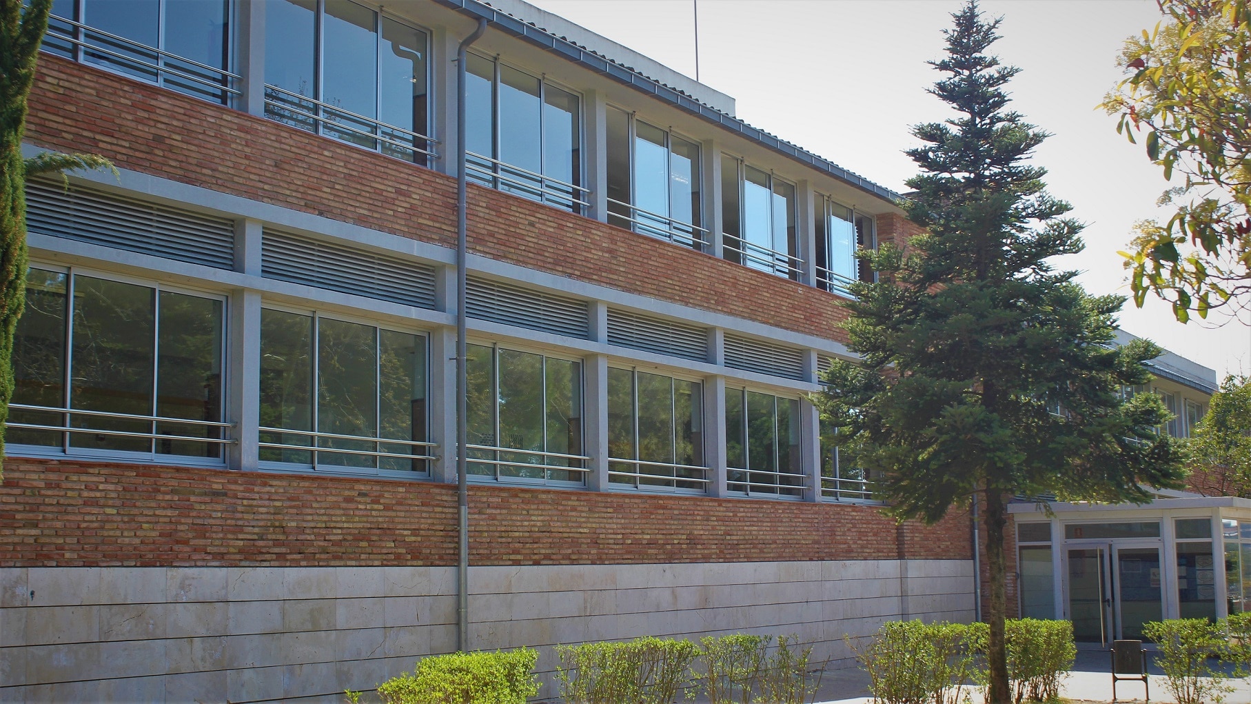 Viaró Global School - A path full of experiences and opportunities