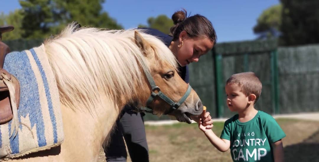 Viaró Global School - Global Education from 0 to 18 years